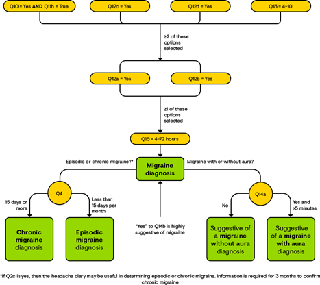Headache diagnosis in general practice: a patient-focused questionnaire